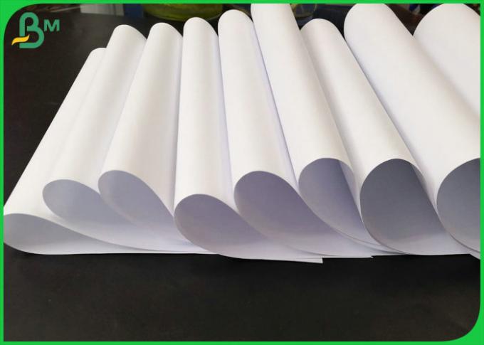 60gsm 70gsm 80gsm Offset Printing Paper / White Bond Paper Roll Grade AA