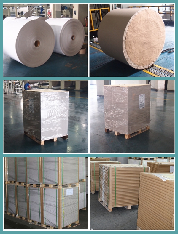 Smooth Printing Uncoated Woodfree Paper 70 80GSM White Bond Offset Paper