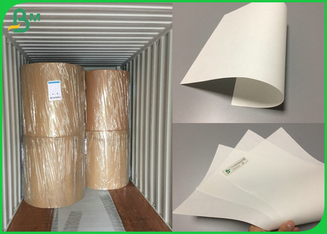 Fully Bio Compostable 70gsm Bleach Paper Roll For Takeaway Packaging Bags