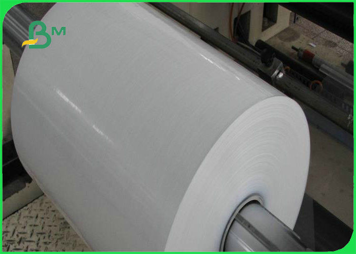 300gsm White PE Coated Ivory Board For Making Food Box 50 * 70cm FDA ...