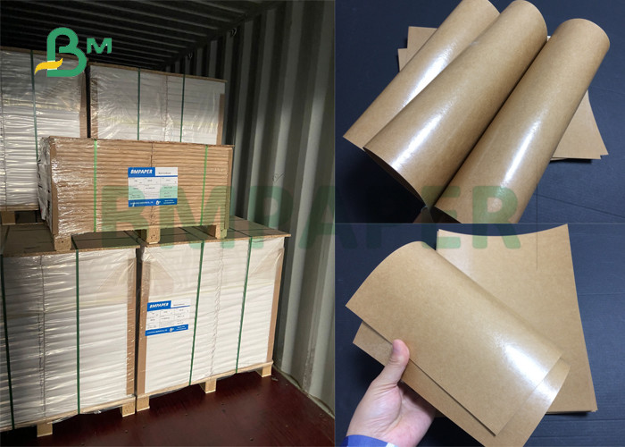 300gsm 350gsm Coated 15g Polyethylene Lunch Box Paper For Food Take ...