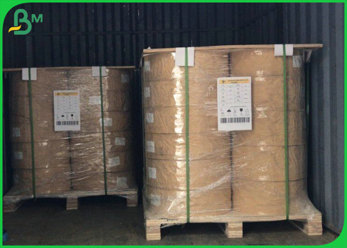 Eco - Friendly Food Grade Paper , 50gsm+10g C1S Coated Paper For Food ...
